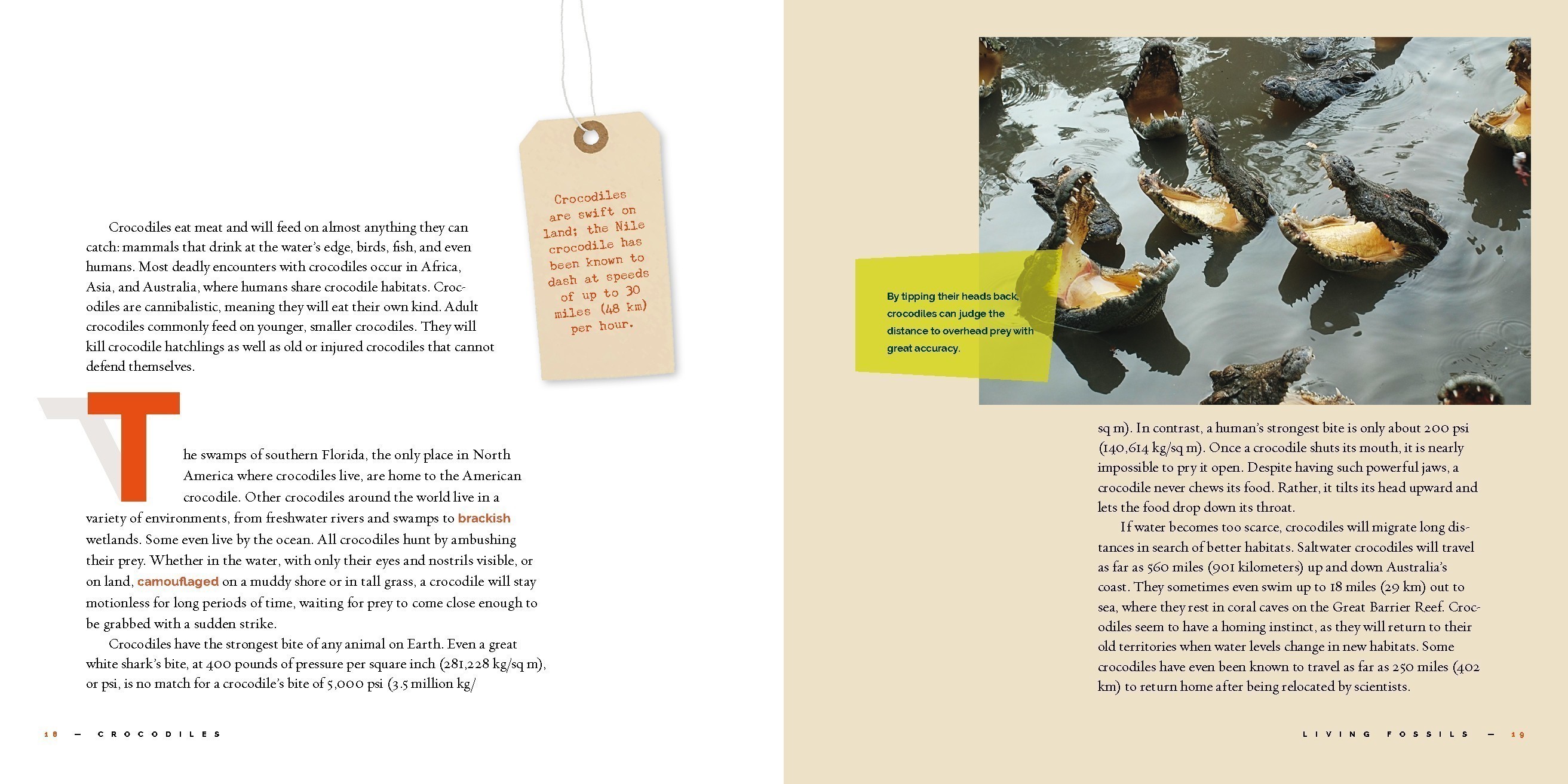 Book Farm LLC > Nonfiction Books > Crocodiles (24)