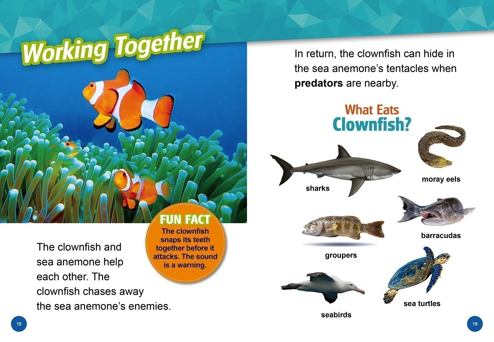 Book Farm LLC > Nonfiction Books > Clownfish (24)