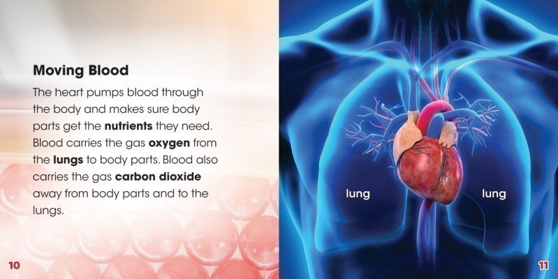 Book Farm LLC > Nonfiction Books > Your Amazing Heart (23)