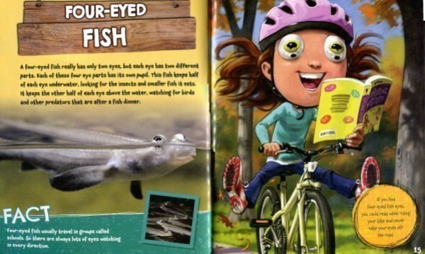 Book Farm LLC > Fiction Books > What If You Had Animal Ears!? (16)