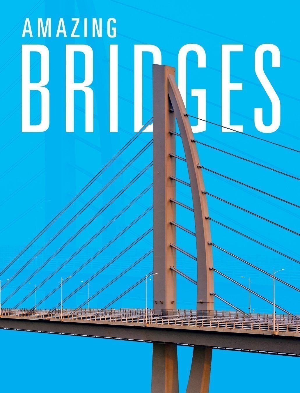 Book Farm LLC > WHAT'S NEW! > Amazing Bridges (25)