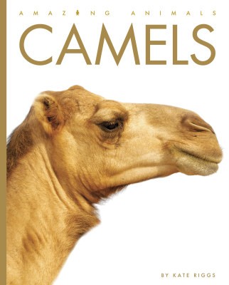 Book Farm LLC > Nonfiction Books > Camels (23)
