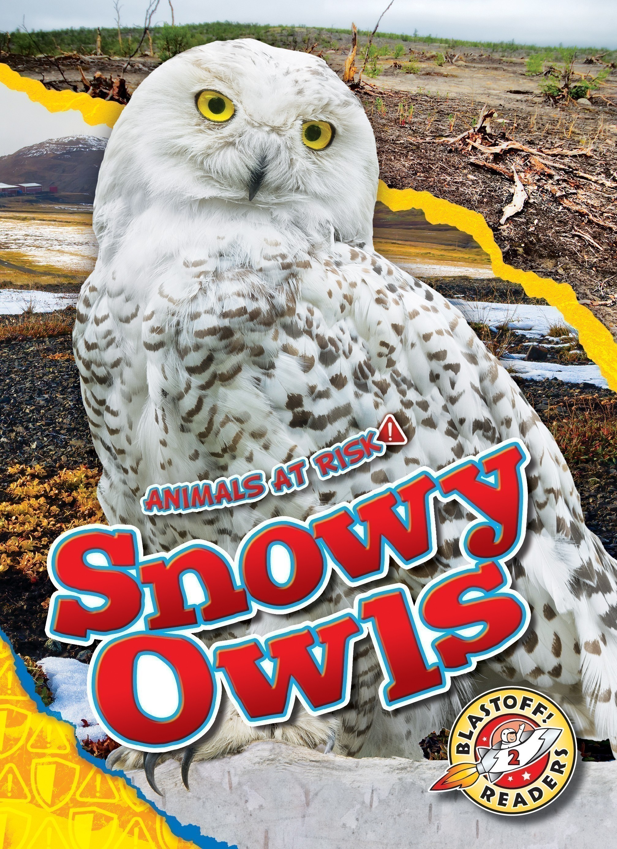 Book Farm LLC > Nonfiction Books > Snowy Owls (24) Level 2