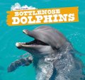 Book Farm LLC > Nonfiction Books > Bottlenose Dolphins (16)